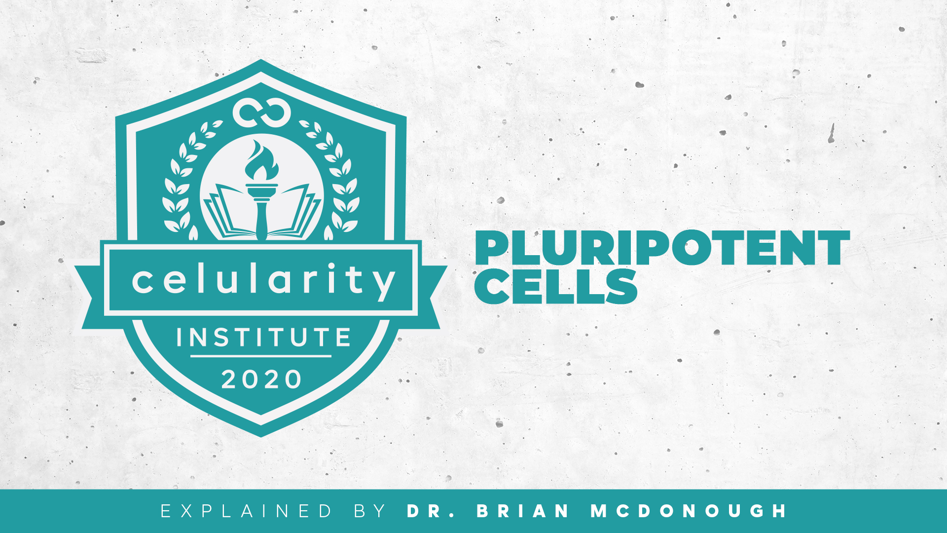 Celularity Institute – Celularity